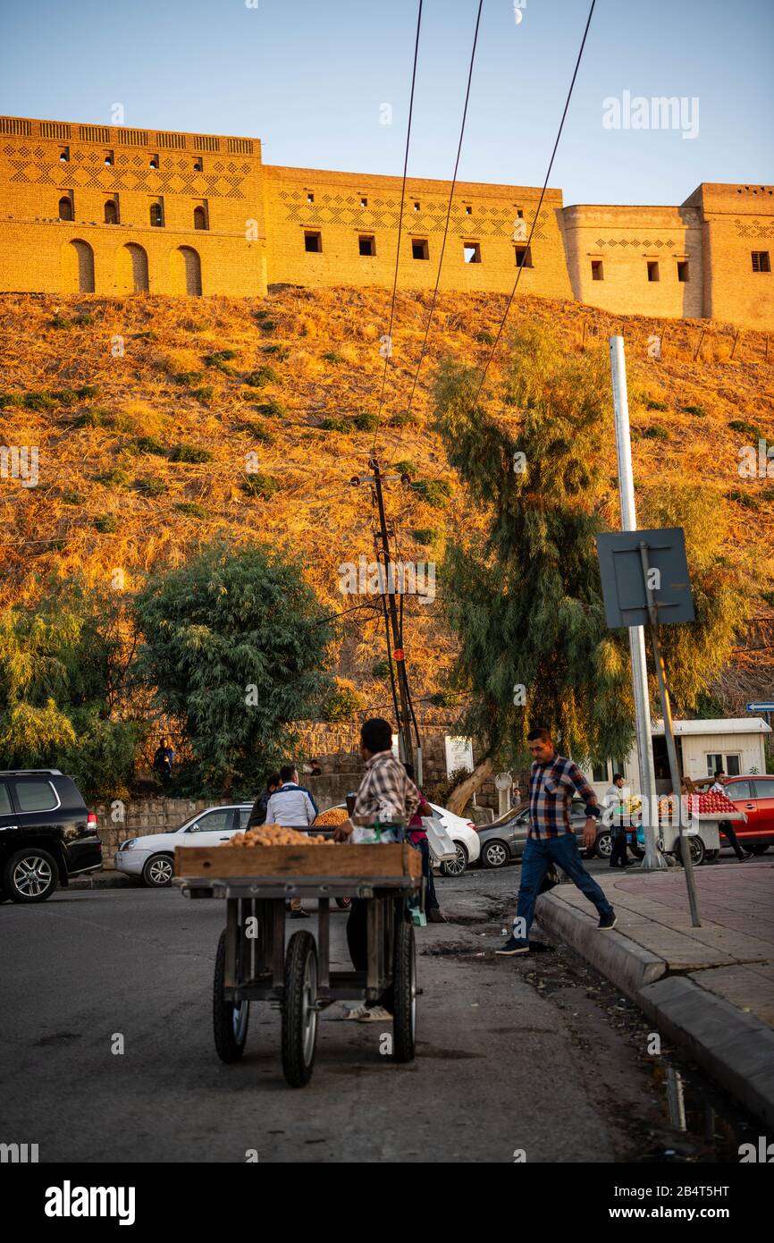 Iraq, Iraqi Kurdistan, Arbil, Erbil. A man is selling fruit from a ...