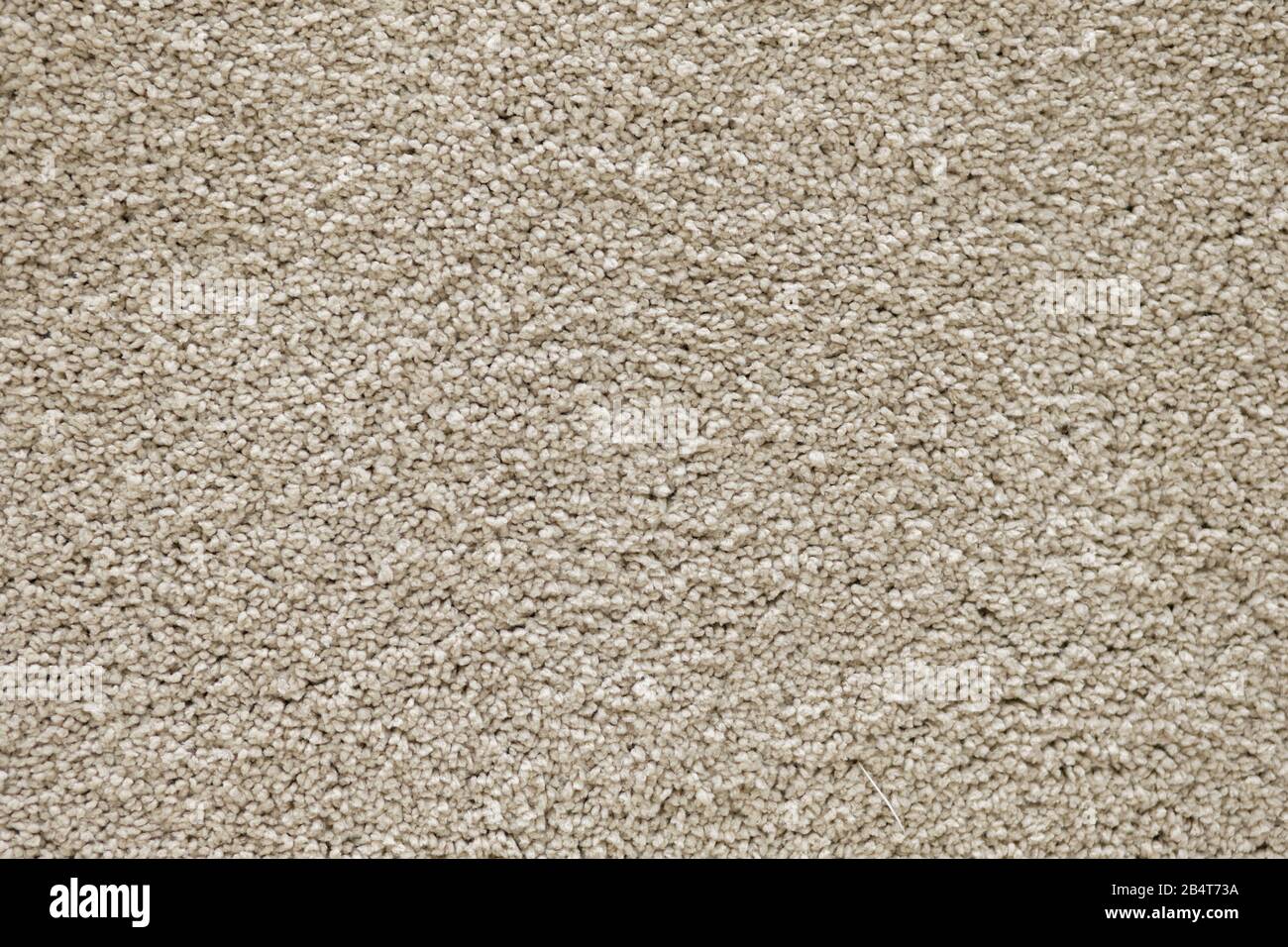 Modern gray carpet texture. Background. Close up Stock Photo - Alamy