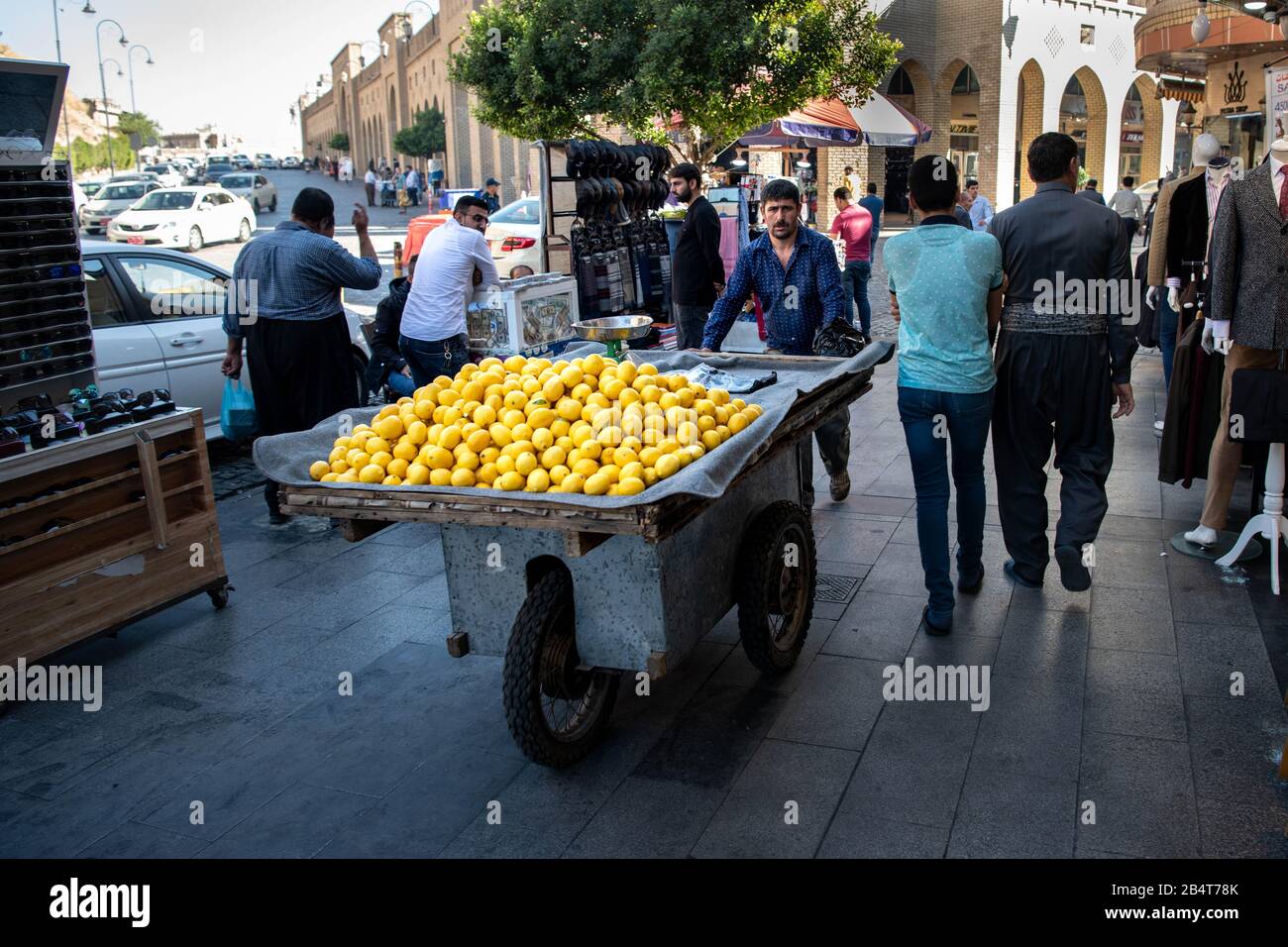 Iraq, Iraqi Kurdistan, Arbil, Erbil. A man pushed a trolley full of ...