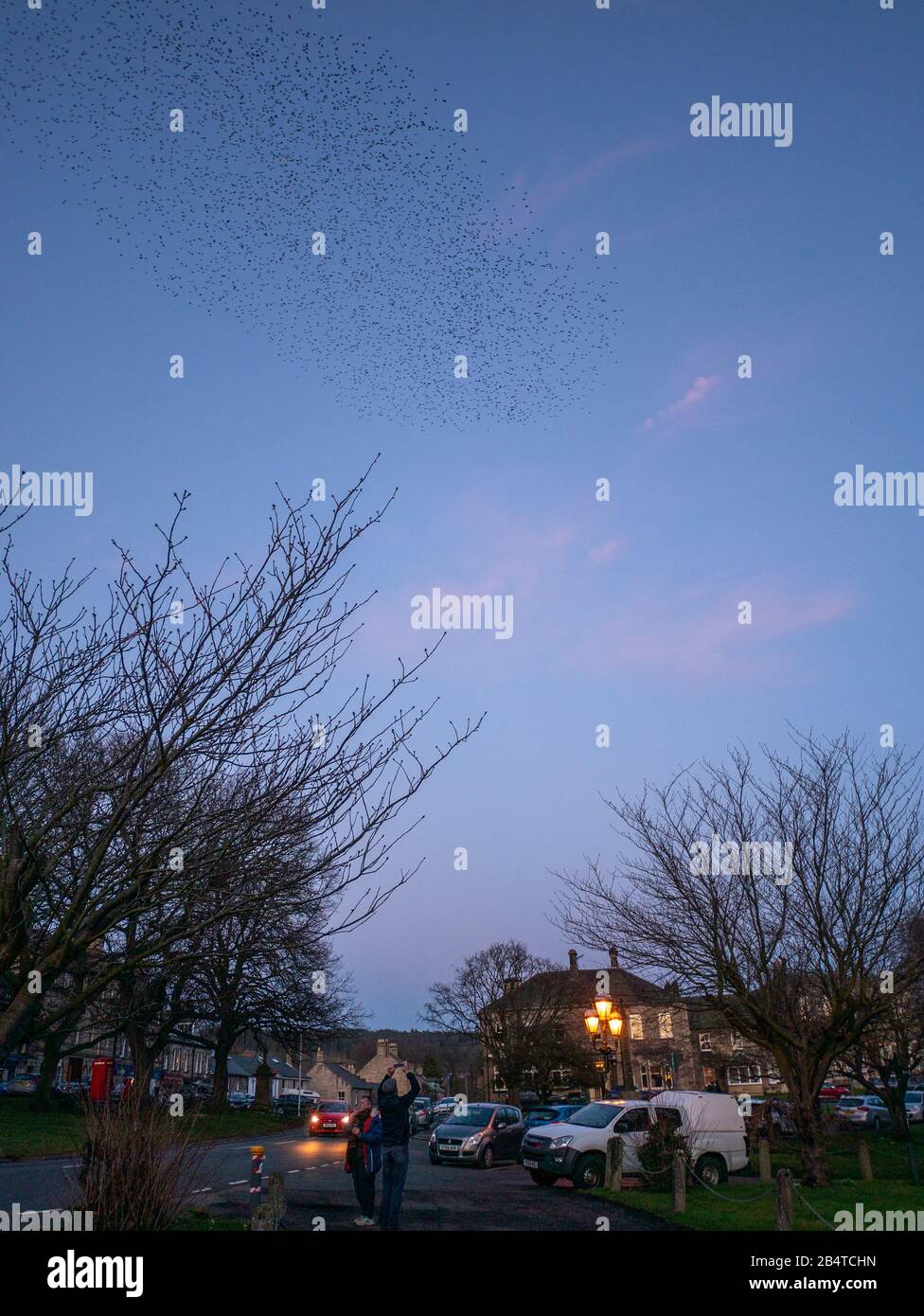 Two people take videos on their phones of a murmuration of starlings in ...