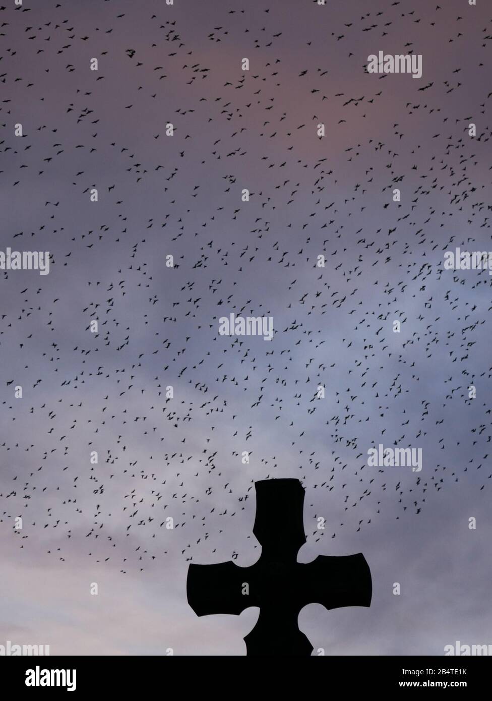 Armstrong cross rothbury hi-res stock photography and images - Alamy