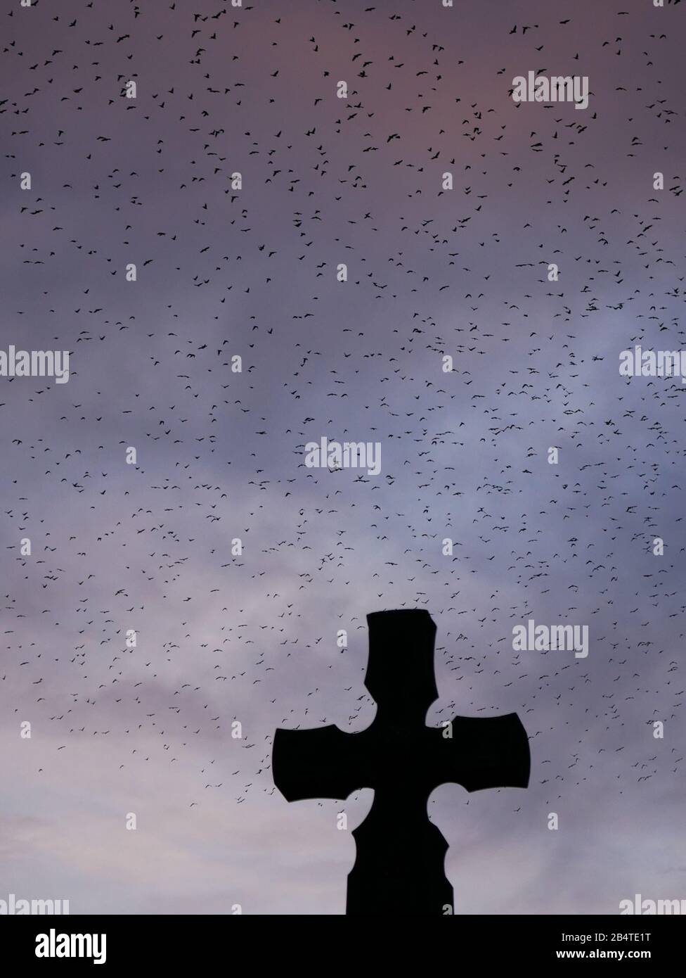 Armstrong cross rothbury hi-res stock photography and images - Alamy