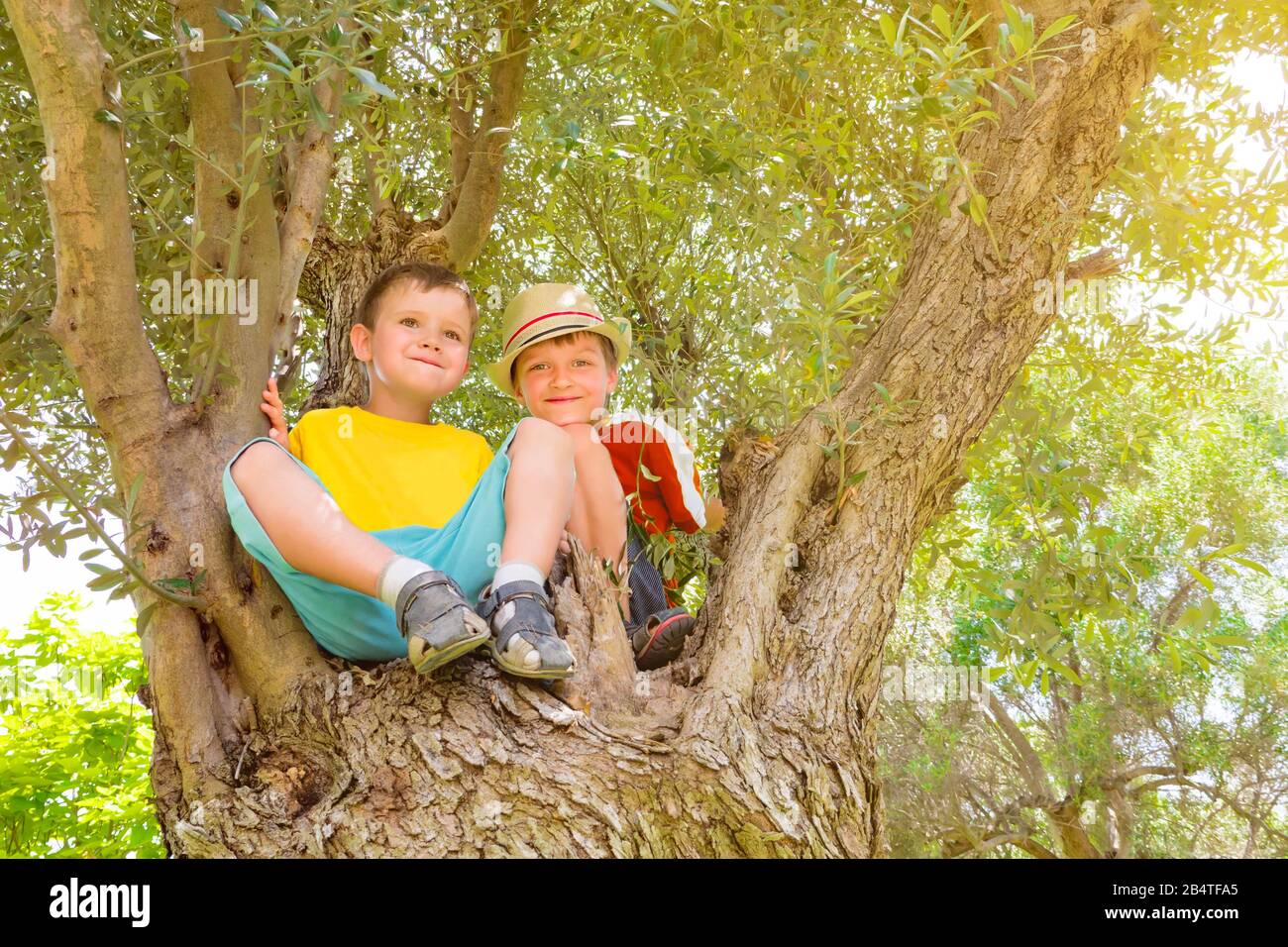 Little boys relaxing on tree. Happy siblings having fun on the tree ...