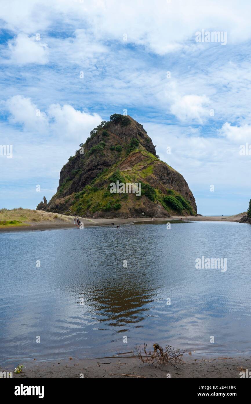 New zealand maori rock carving hi-res stock photography and images - Alamy