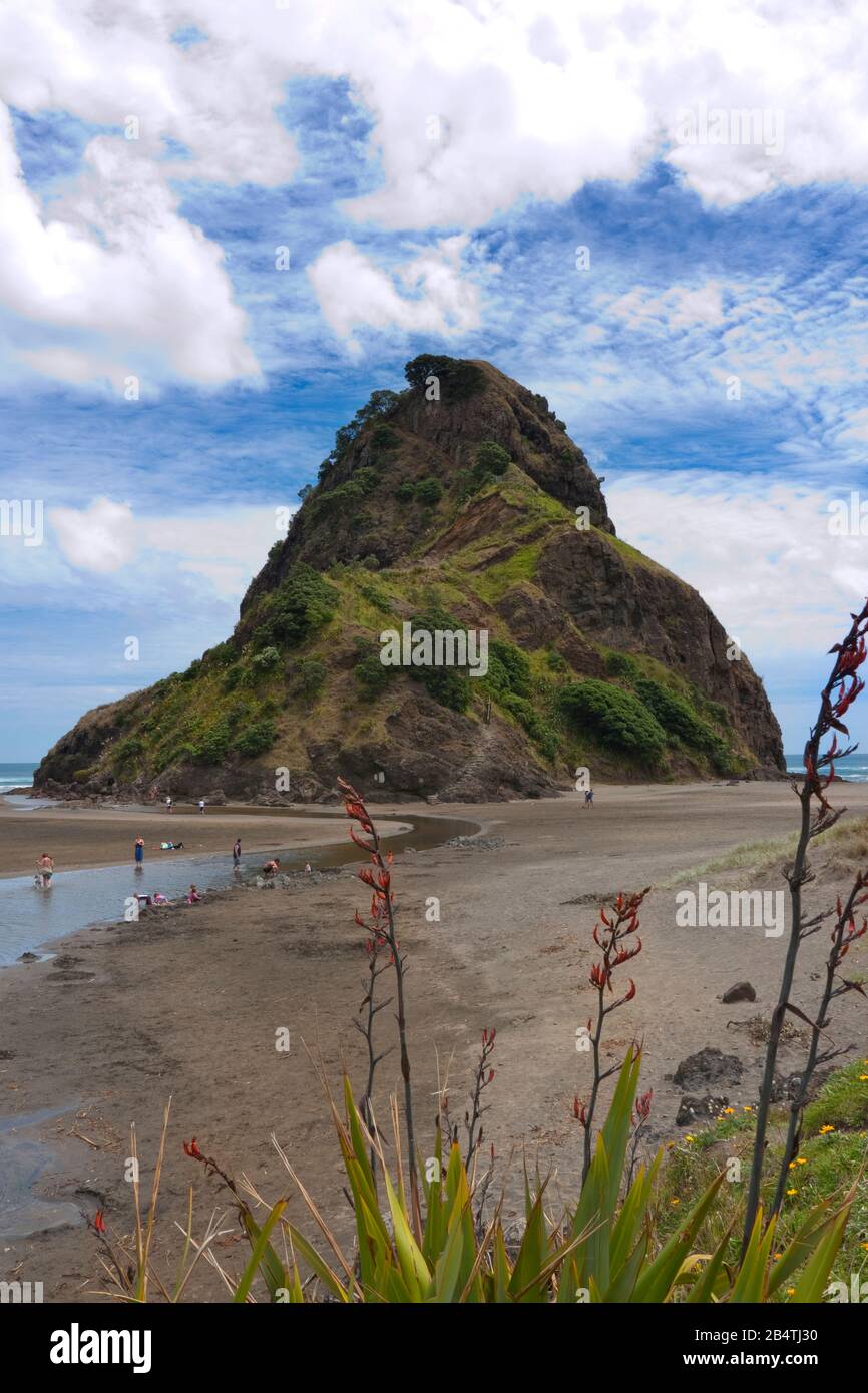 The distinctive volcanic Lion Rock at Piha, near Auckland on the west ...