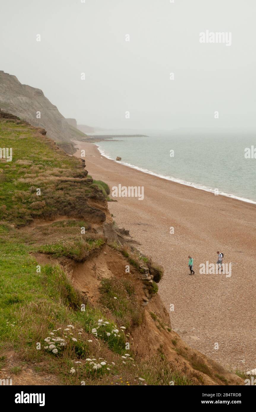 Jurrasic coast beach hi-res stock photography and images - Alamy