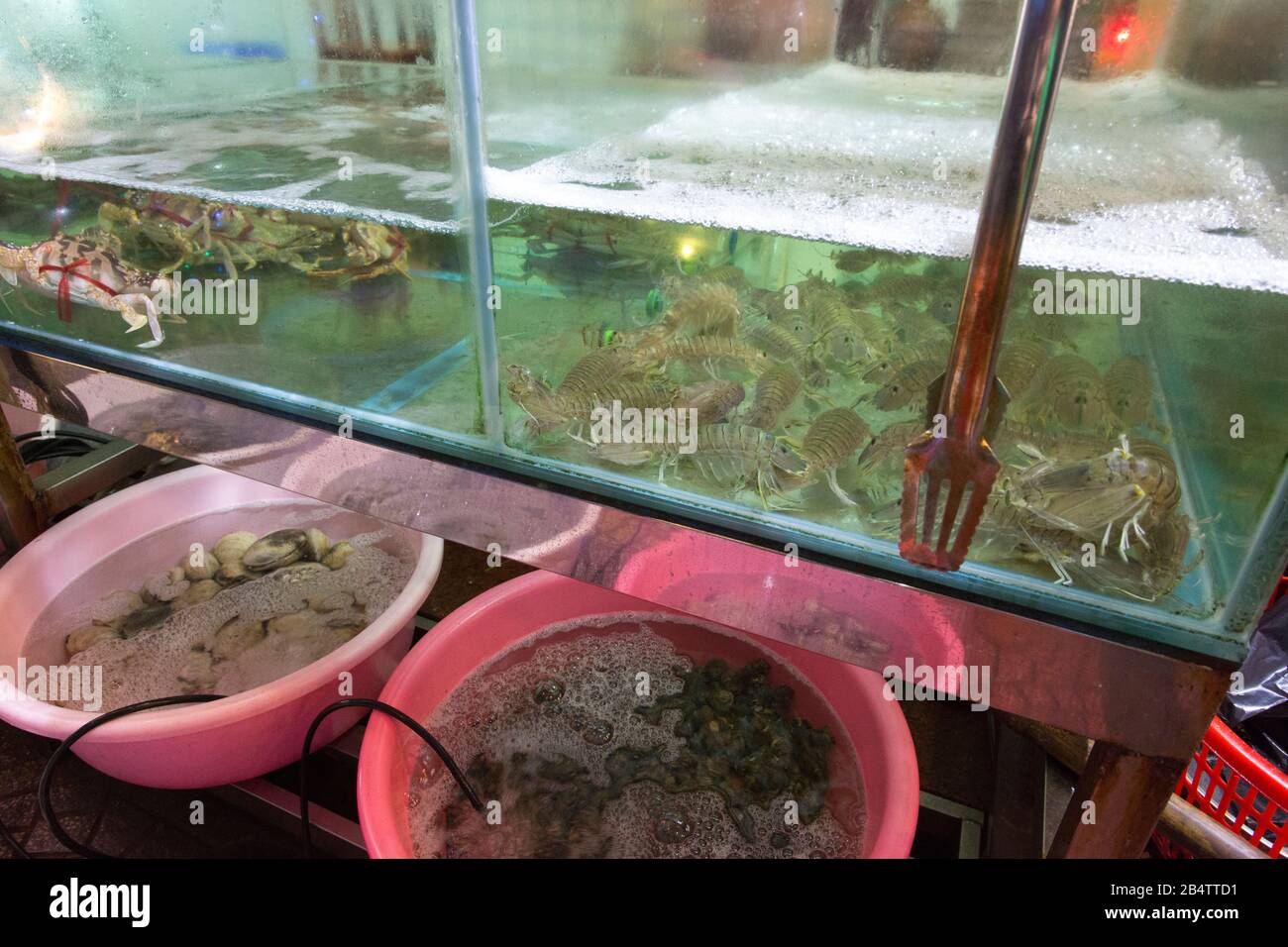 Mantis shrimp in seafood market hi-res stock photography and images - Alamy