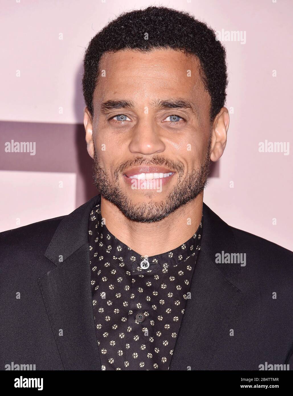 HOLLYWOOD, CA - MARCH 05: Michael Ealy attends the Premiere of HBO's ...