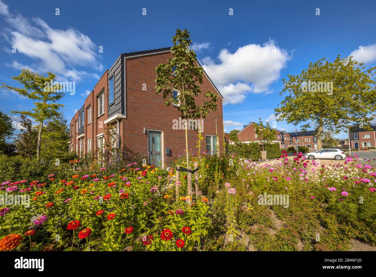 Street landscape with modern houses and flowers in a dutch town, The ...