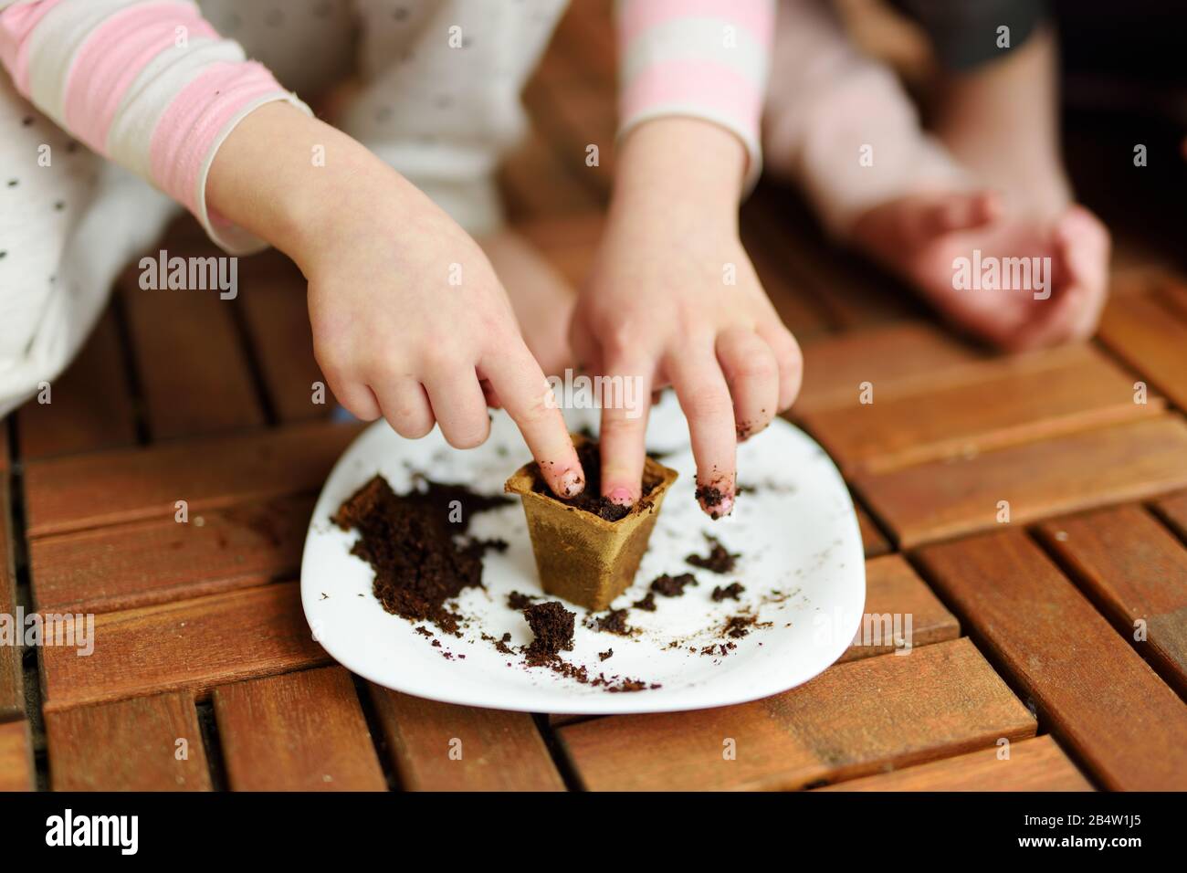 Close-up of children's hands planting flowers and vegetables in small ...