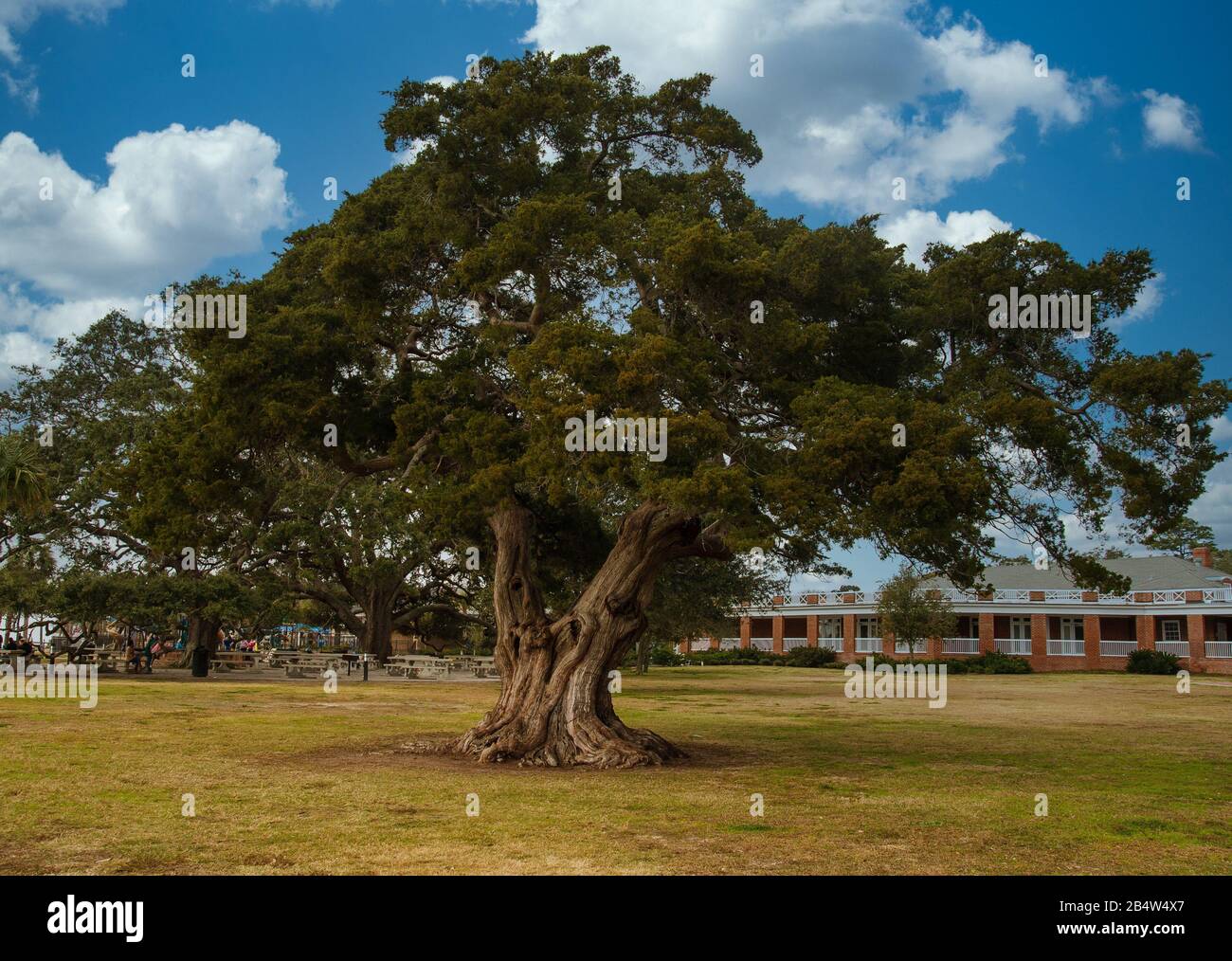 Live oak park hi-res stock photography and images - Alamy