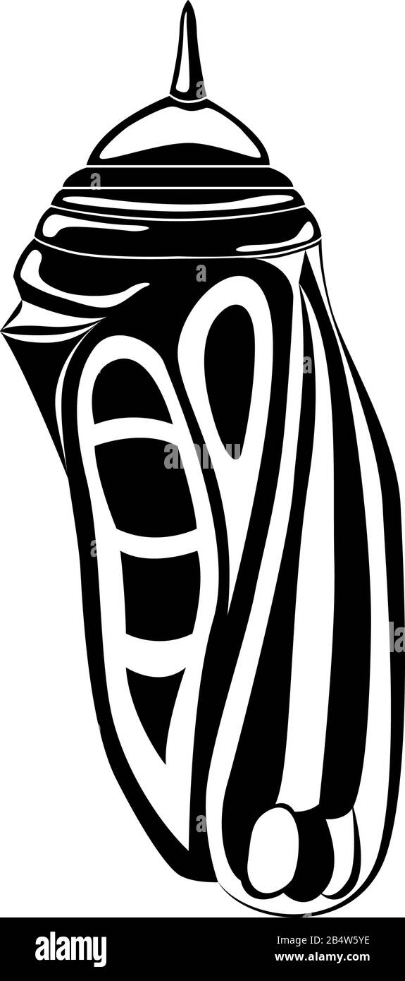 Butterfly pupa. Vector illustration. Design element isolated on white ...
