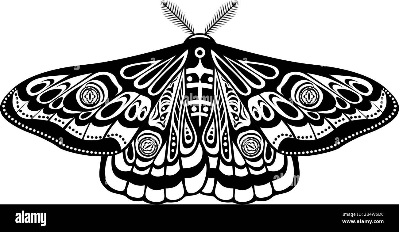 Night moth, butterfly. Vector illustration. Half open wings. Design ...