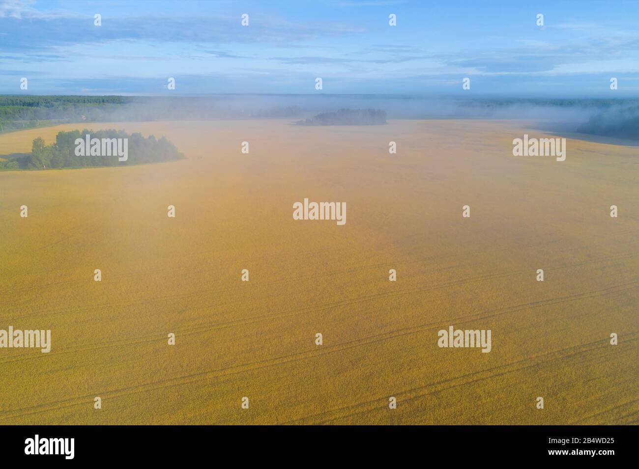 Agriculture in russia hi-res stock photography and images - Alamy