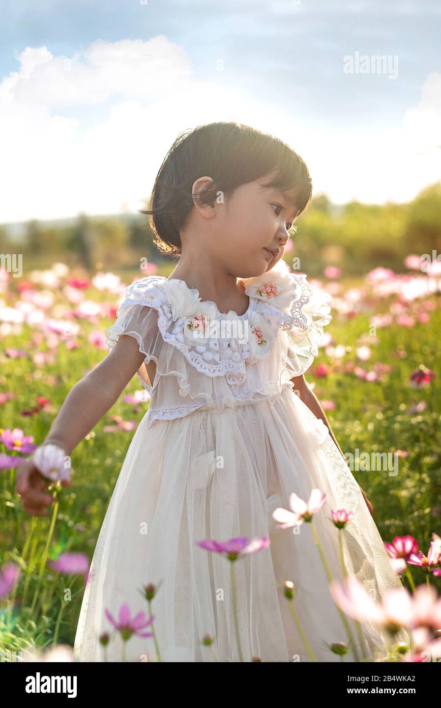 cute asian children girl in nature flowers field Stock Photo - Alamy