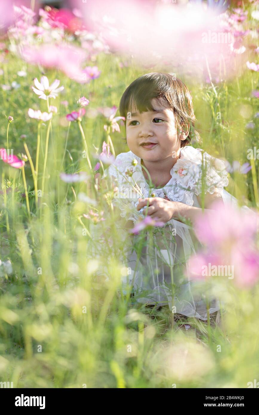 cute asian children girl in nature flowers field Stock Photo - Alamy