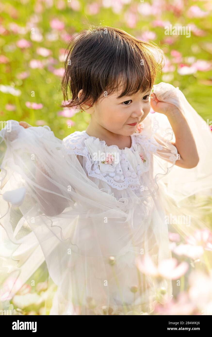 cute asian children girl in nature flowers field Stock Photo - Alamy