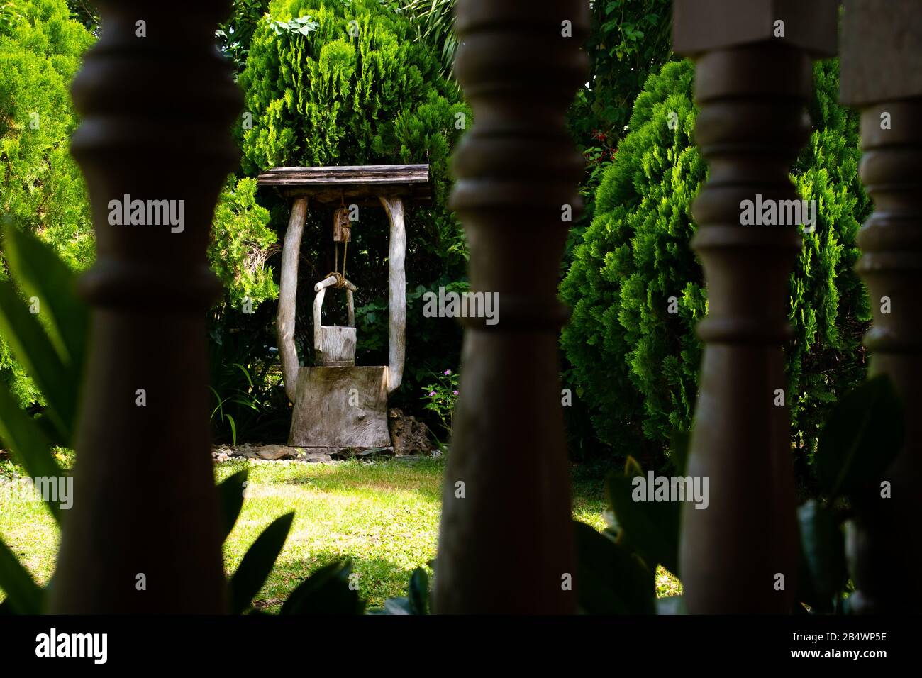Wooden well in a framed shot with trees and green at the background ...