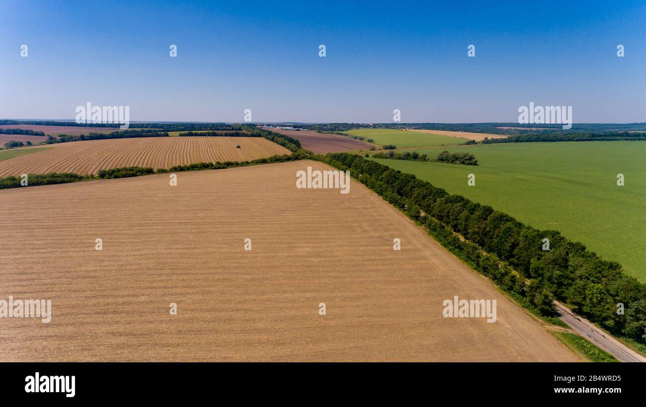 Aerial view of the yellow and green fields Stock Photo - Alamy