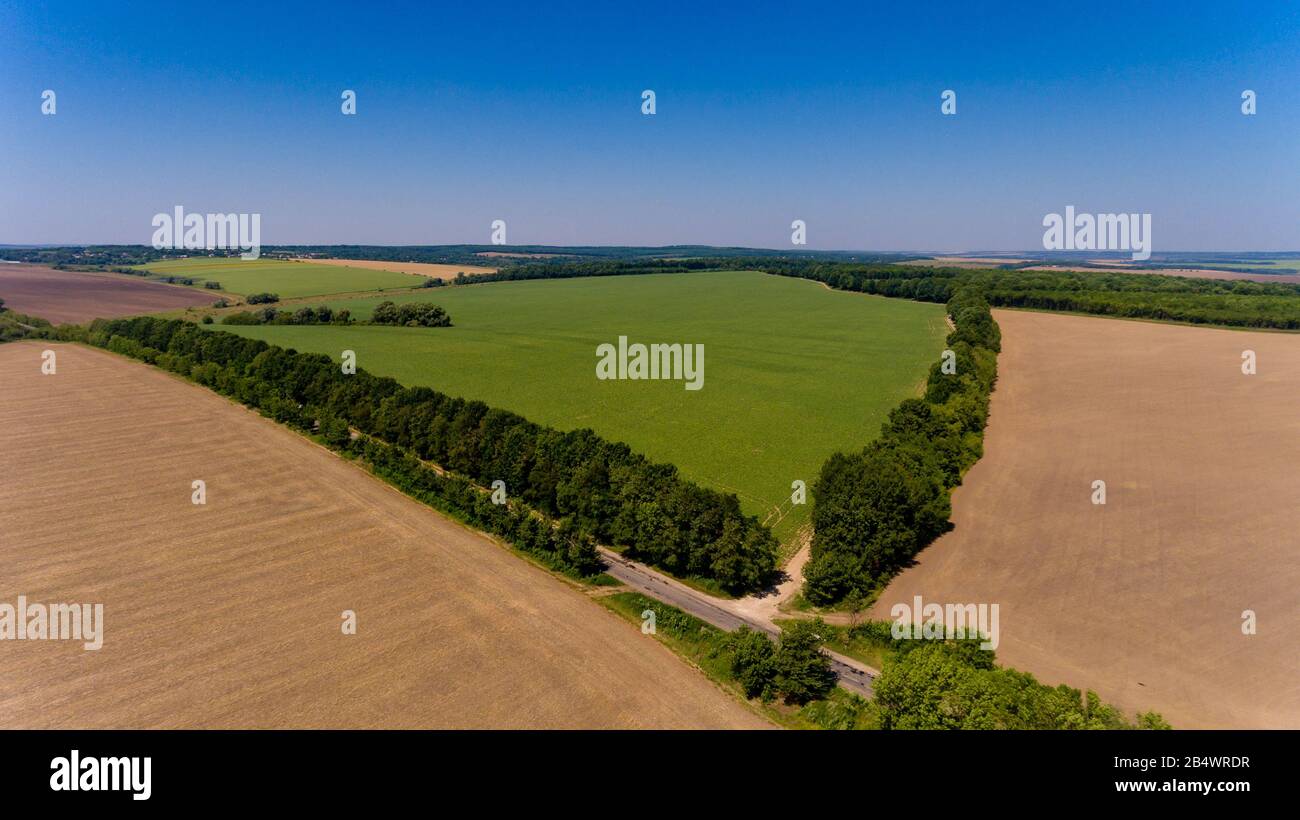 Aerial view of the yellow and green fields Stock Photo - Alamy