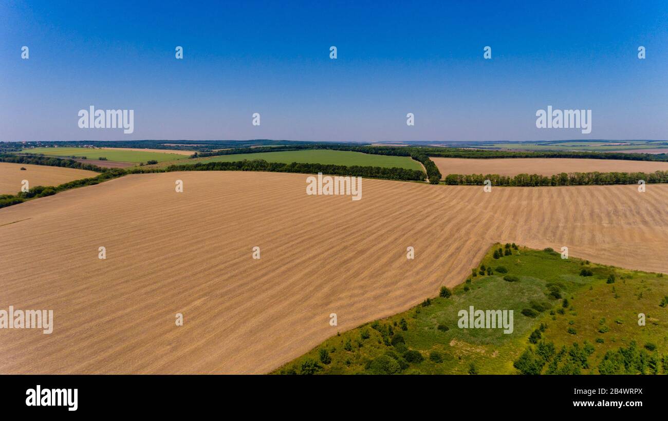 Aerial view of the yellow and green fields Stock Photo - Alamy