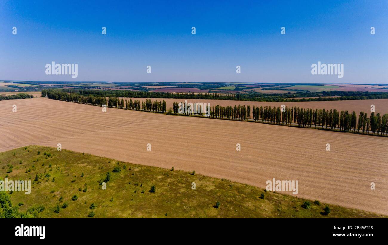 Aerial view of the yellow and green fields Stock Photo - Alamy