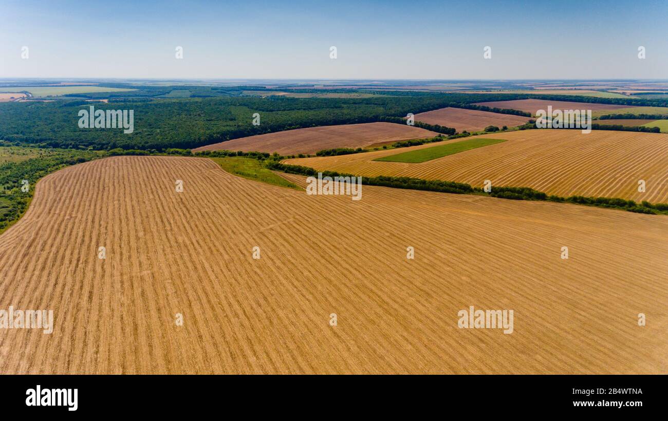 Aerial view of the yellow and green fields Stock Photo - Alamy
