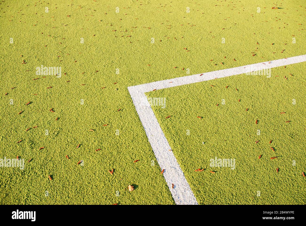 Small ground marker hi-res stock photography and images - Alamy