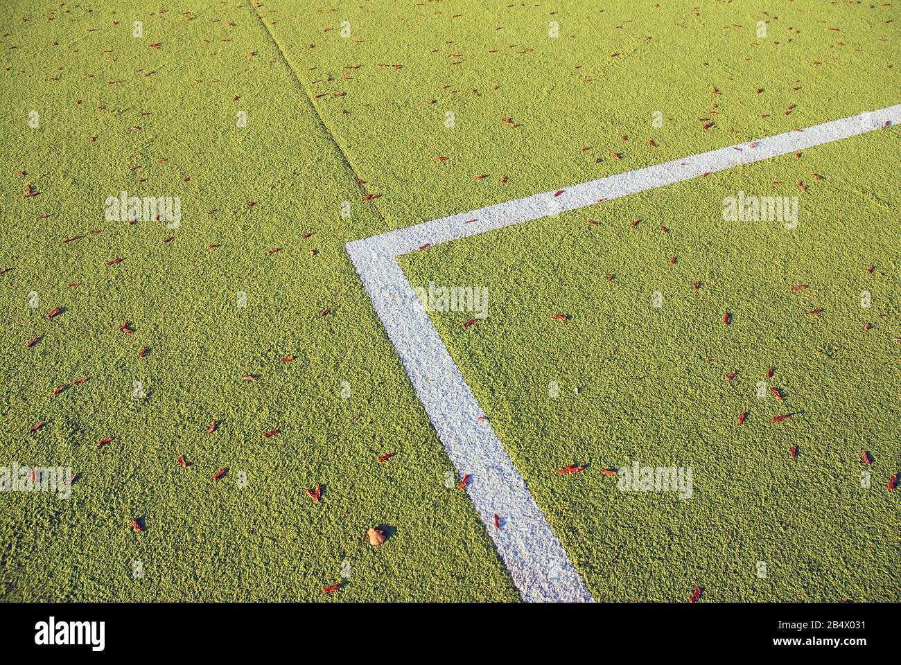 Dry soccer field hi-res stock photography and images - Alamy