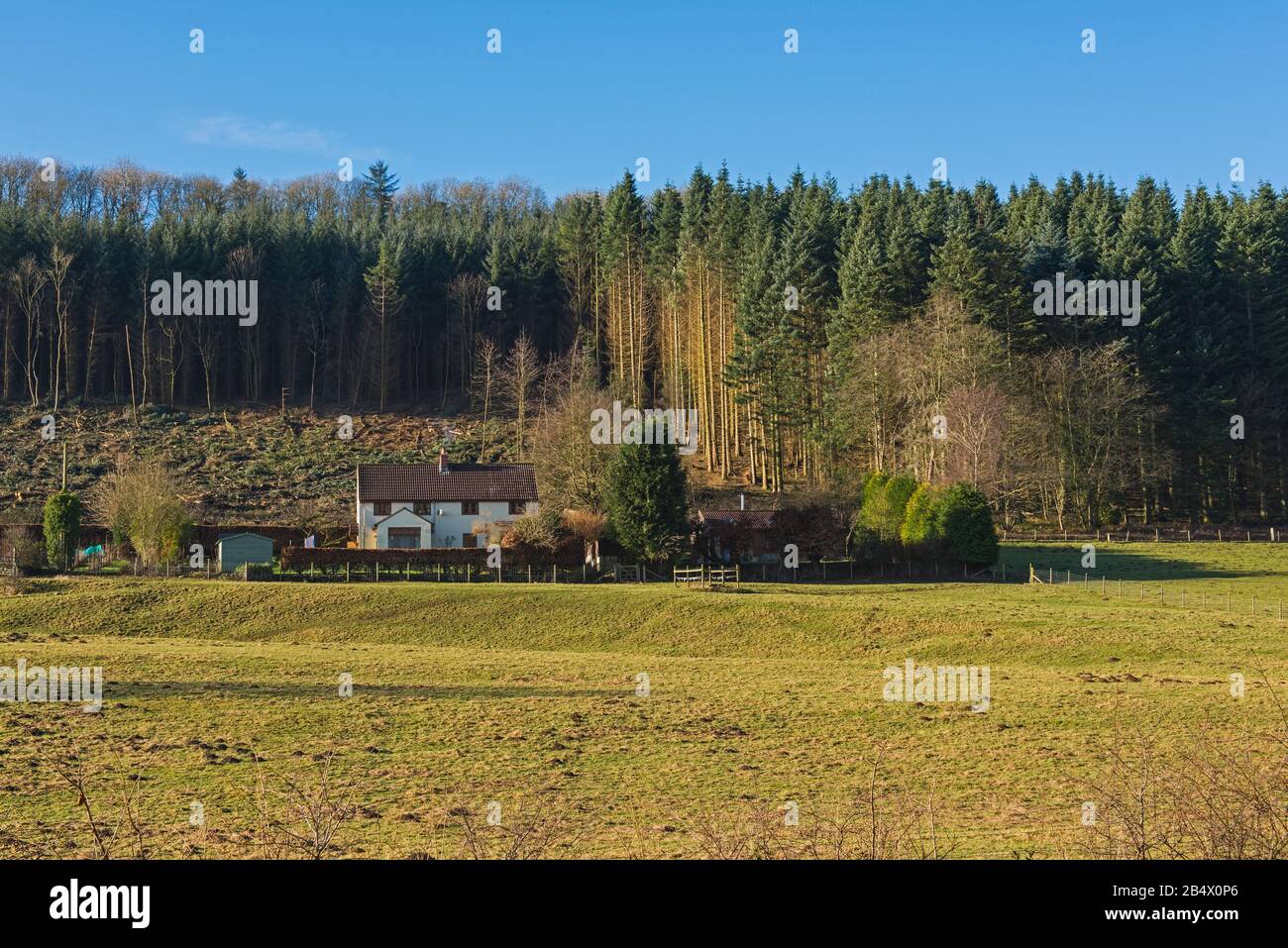 Landscape view of a rural english countryside farmhouse scene with ...