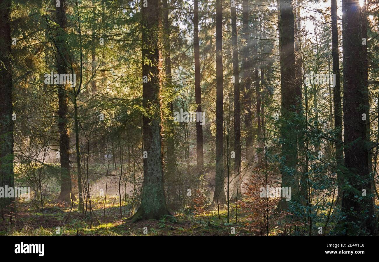 Atmospheric landscape hi-res stock photography and images - Alamy