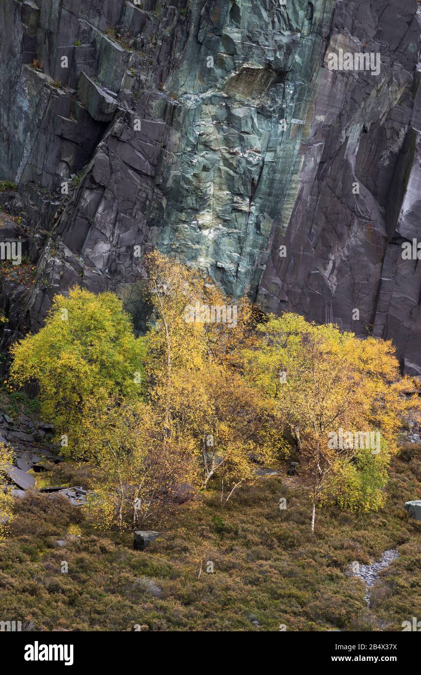 Slate quarry in Llanberis, Gwynedd, North Wales, UK Stock Photo - Alamy