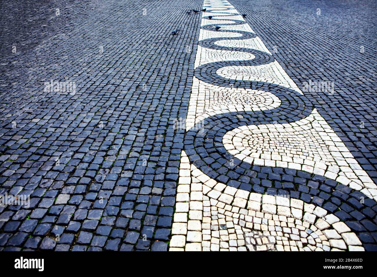 pavement with pattern and pigeons Stock Photo - Alamy