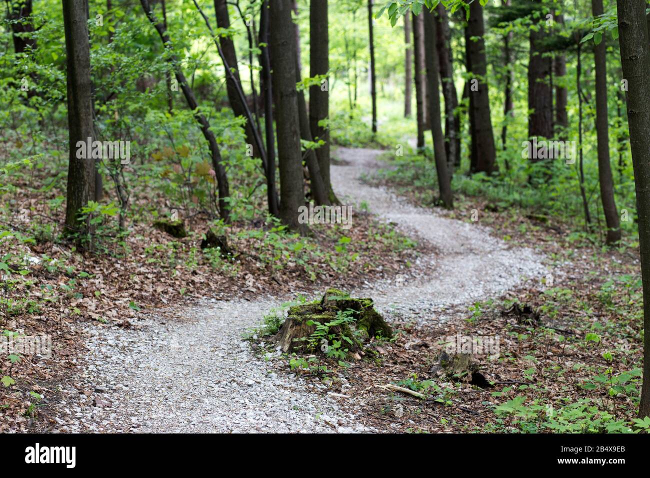 Country empty walk trail hi-res stock photography and images - Alamy
