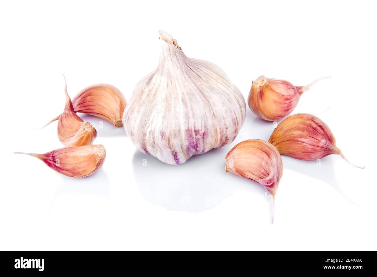 Garlic isolated on white background with reflection Stock Photo - Alamy