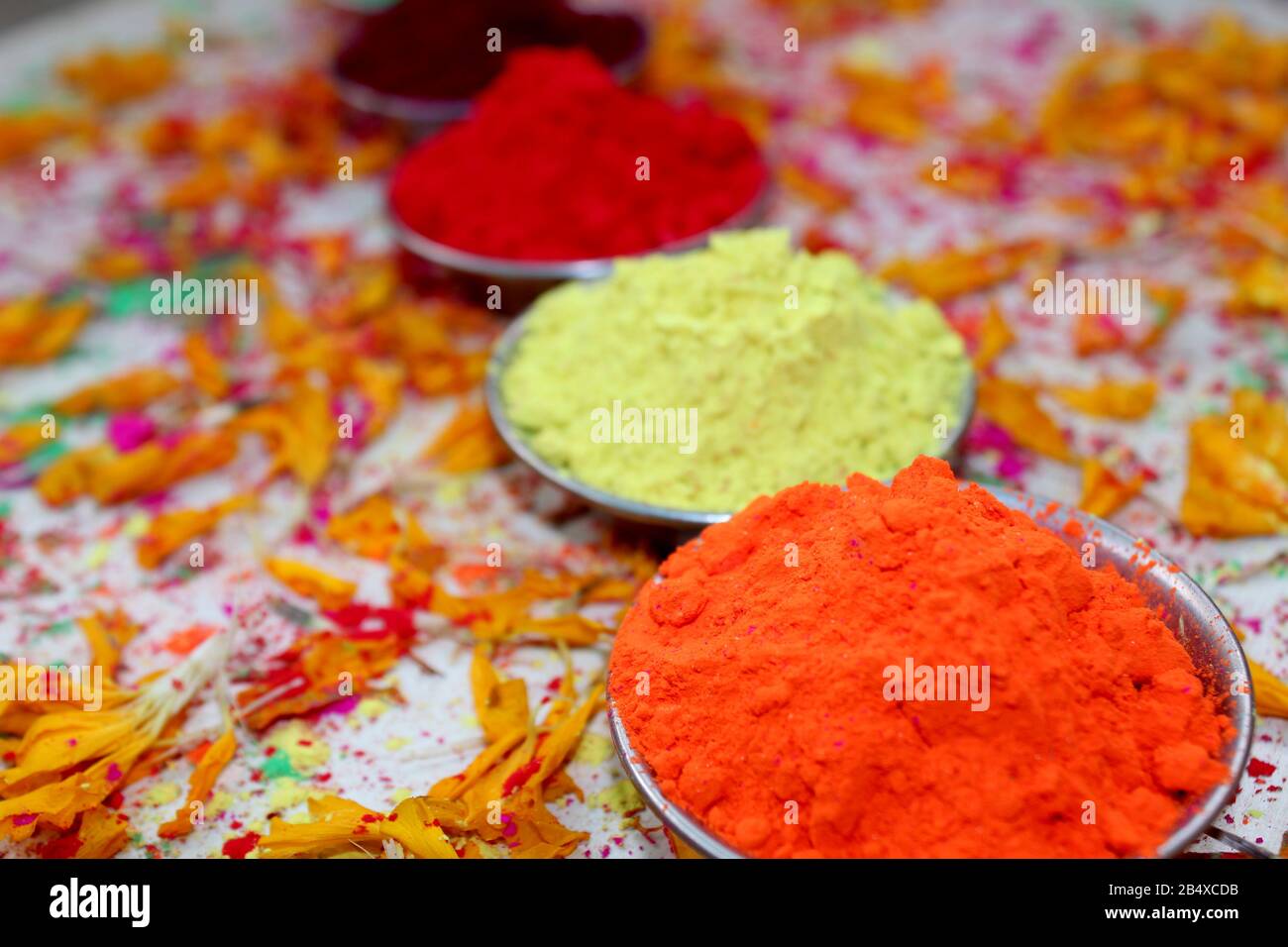 colorful traditional holi powder in bowls, Organic Gulal colors for ...
