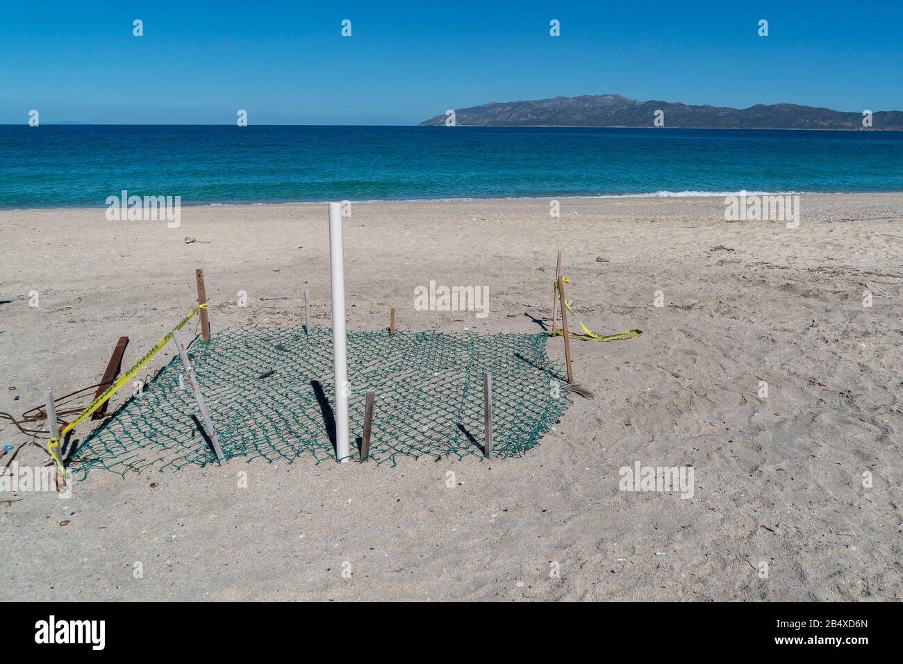 protected Turtle nest on the beach baja california sur mexico Stock ...