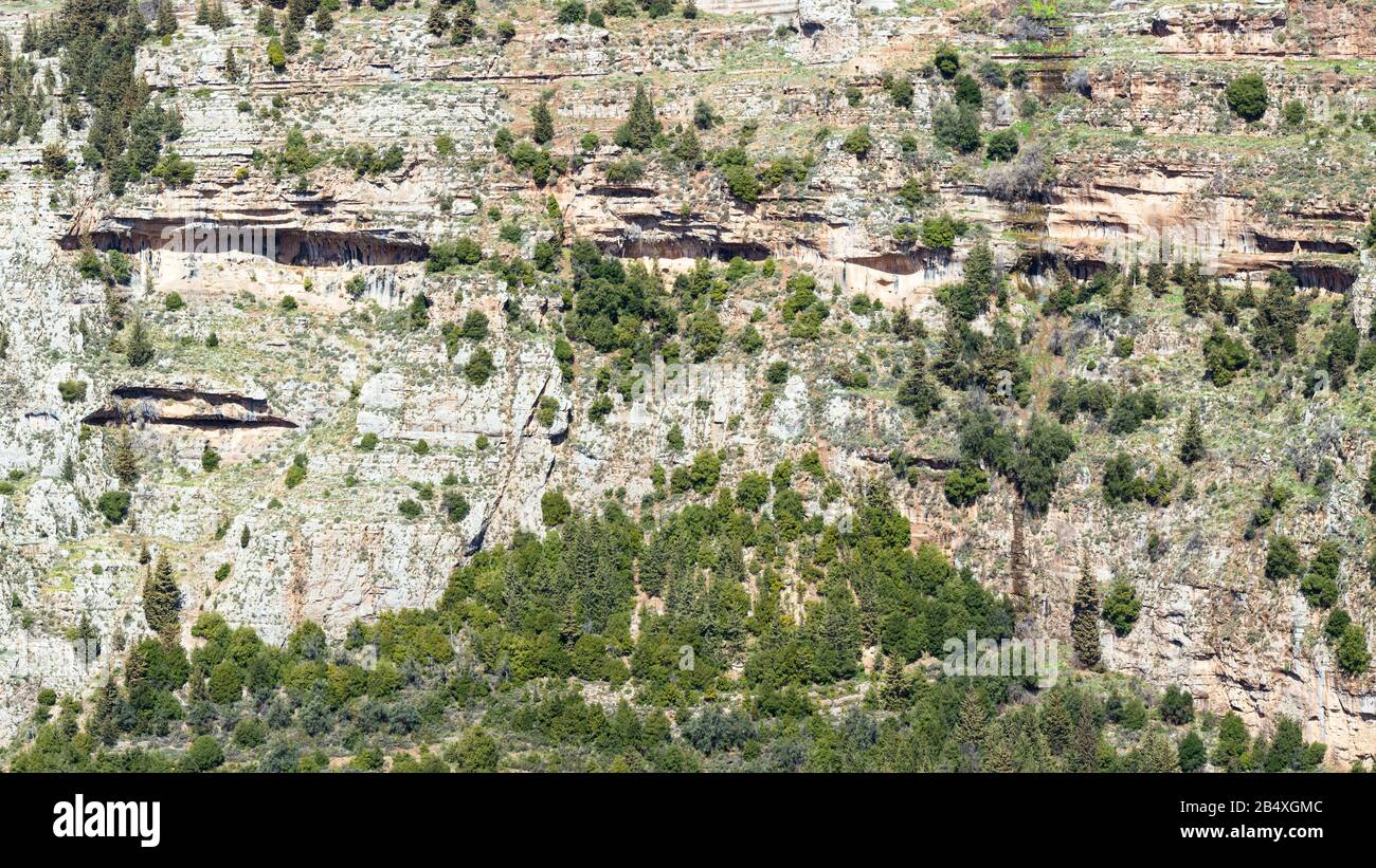 Details of the rock faces in Qadisha valley, Lebanon Stock Photo - Alamy