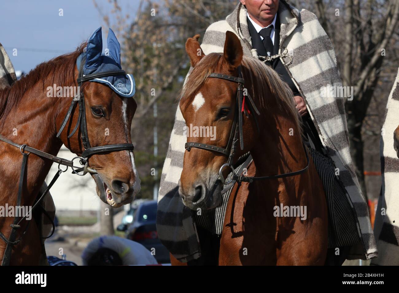 Bulgarian men ride their horses during celebrations marking the ...