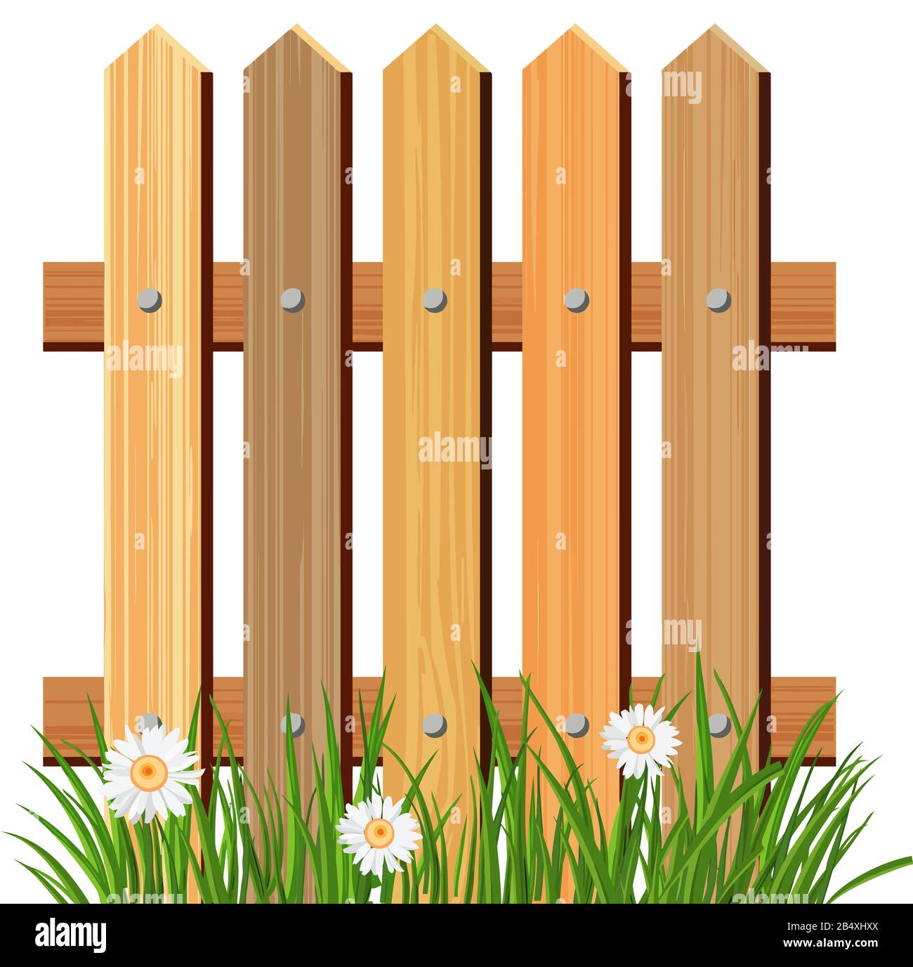 wood wall fence texture brown carpentry flowers material illustration ...