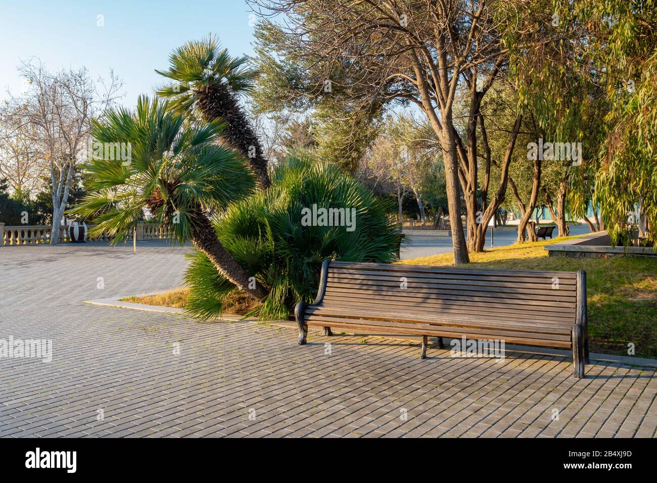 Seaside Park of the city of Baku Azerbaijan with decorative trees Stock ...