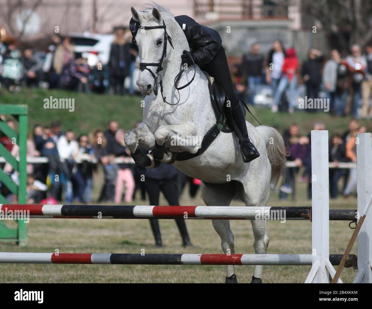 Bulgarian men ride their horses during celebrations marking the ...