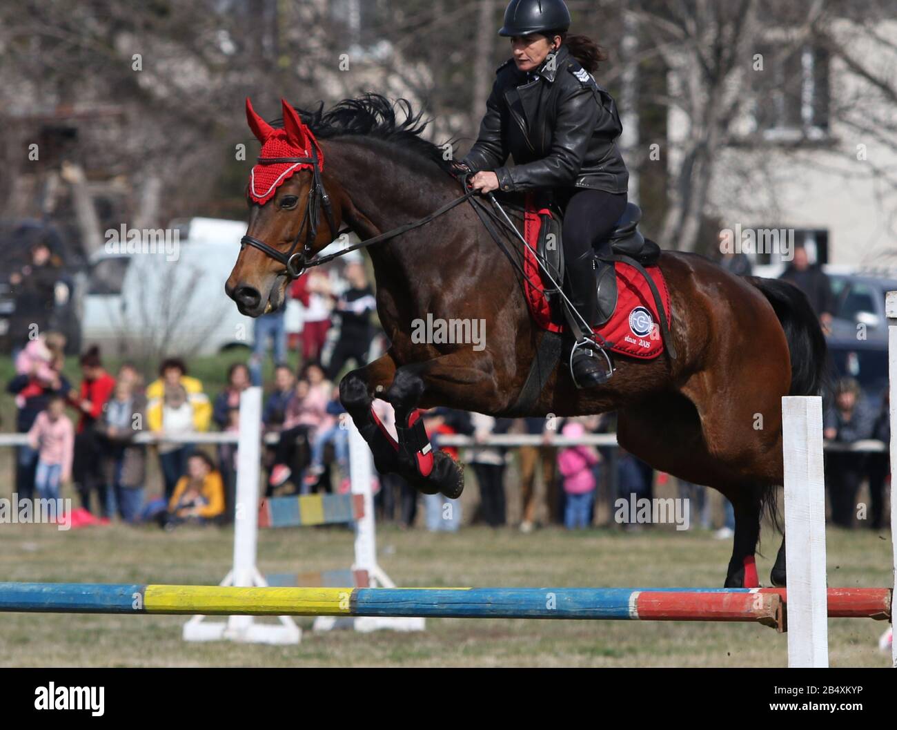 Bulgarian men ride their horses during celebrations marking the ...