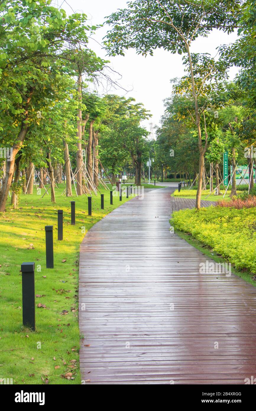 Wooden pathway in the Fushan Park of Jiangmen, south China's Guangdong ...