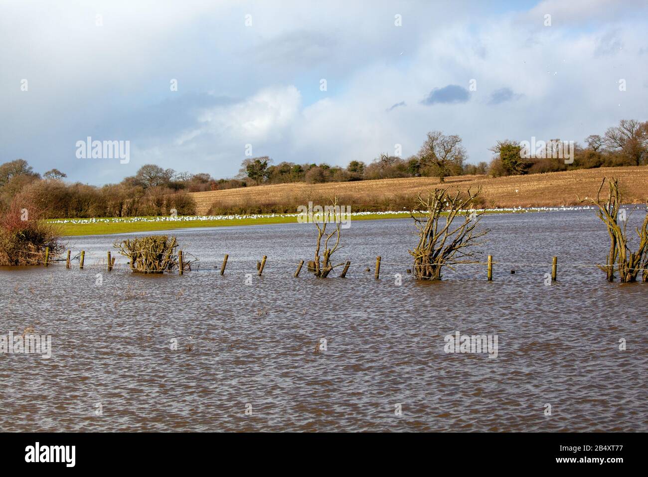 Countryside flood hi-res stock photography and images - Alamy