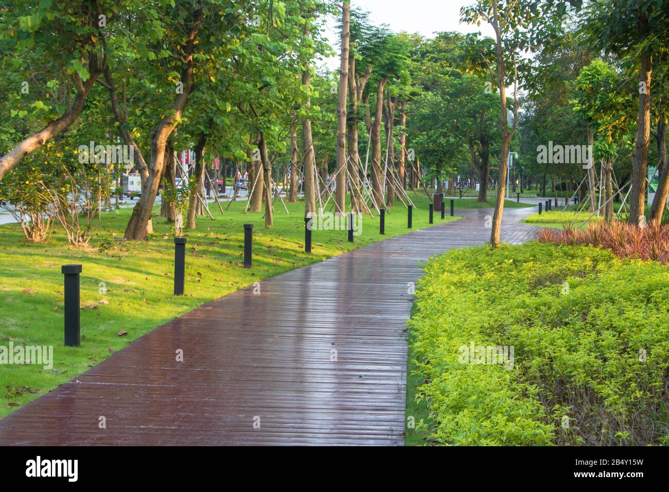 Wooden pathway in the Fushan Park of Jiangmen, south China's Guangdong ...