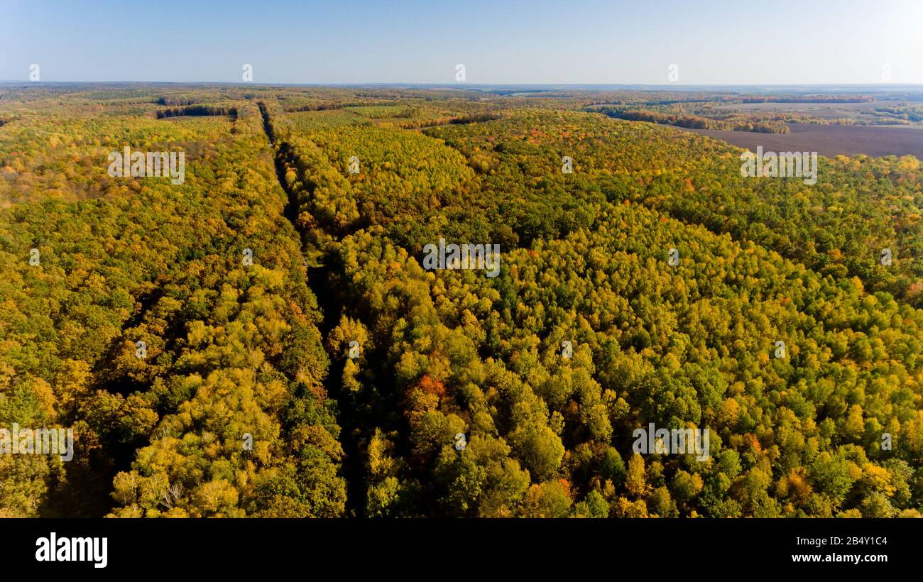 Aerial view of the colorful autumn forest Stock Photo - Alamy