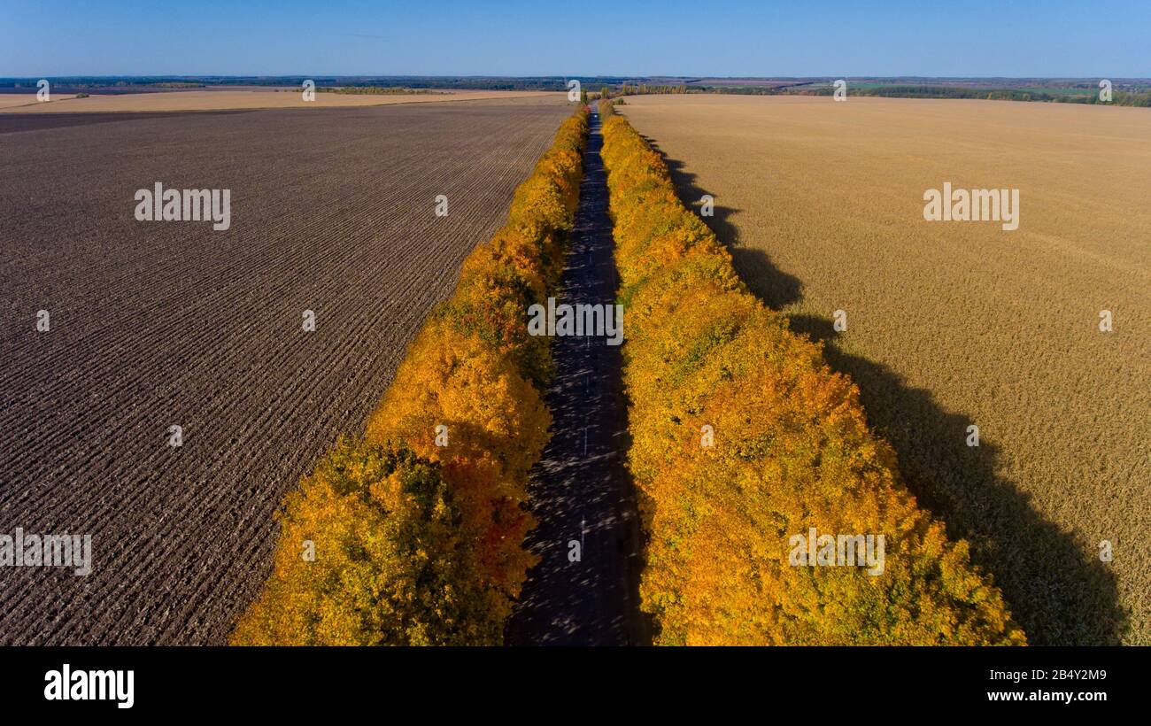 Pathway between colorful autumn trees. Aerial view Stock Photo - Alamy Pathway between colorful autumn trees. Aerial view Stock Photo - Alamy