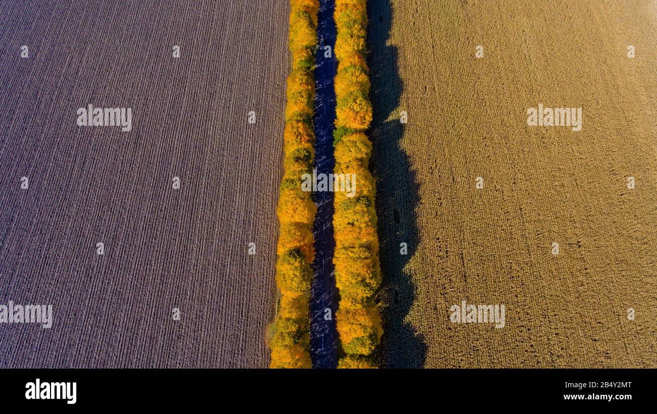 Pathway in the bright autumn. Top view Stock Photo - Alamy