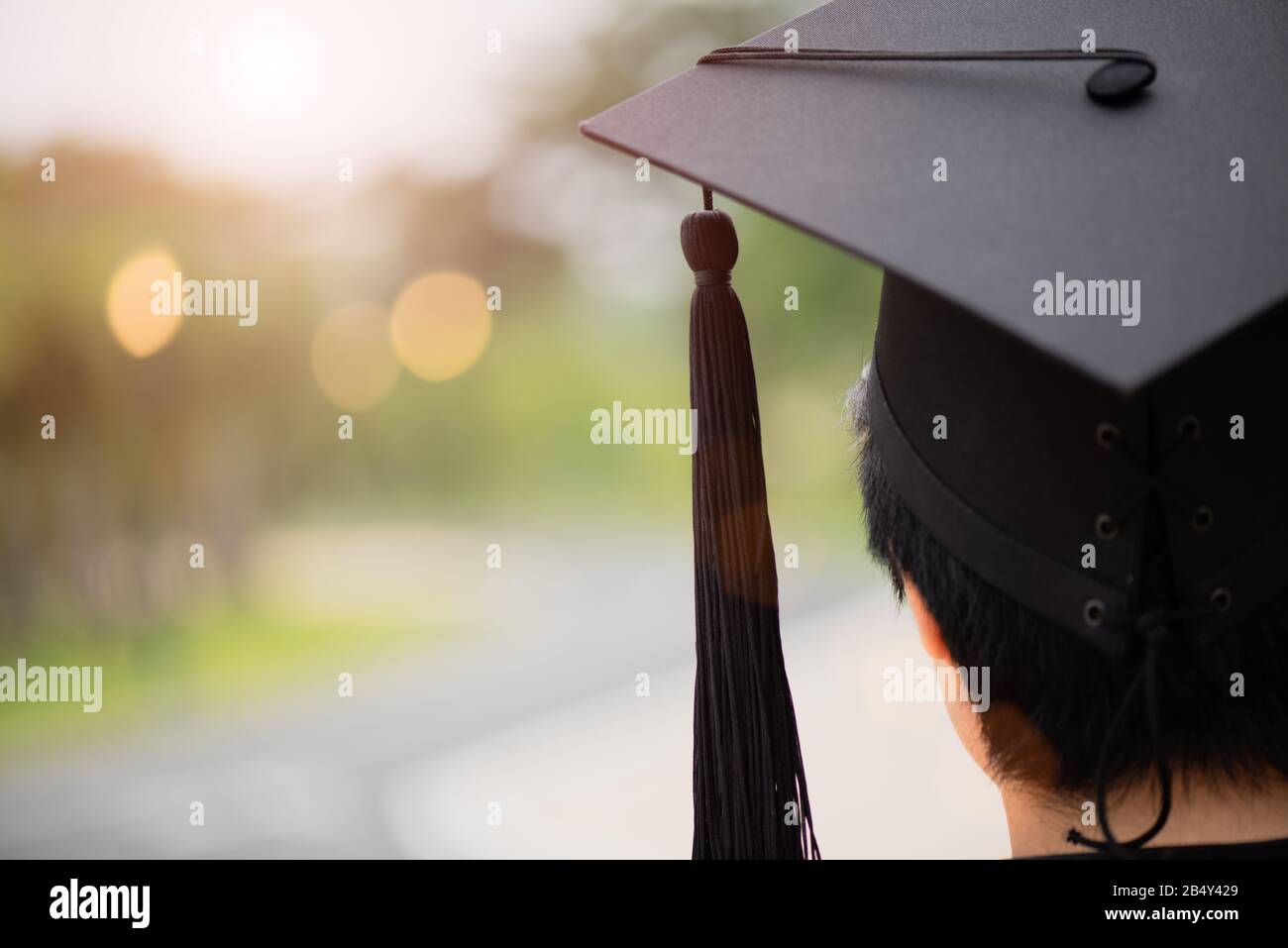 Graduation. Rear view of the student with university graduates crowded ...